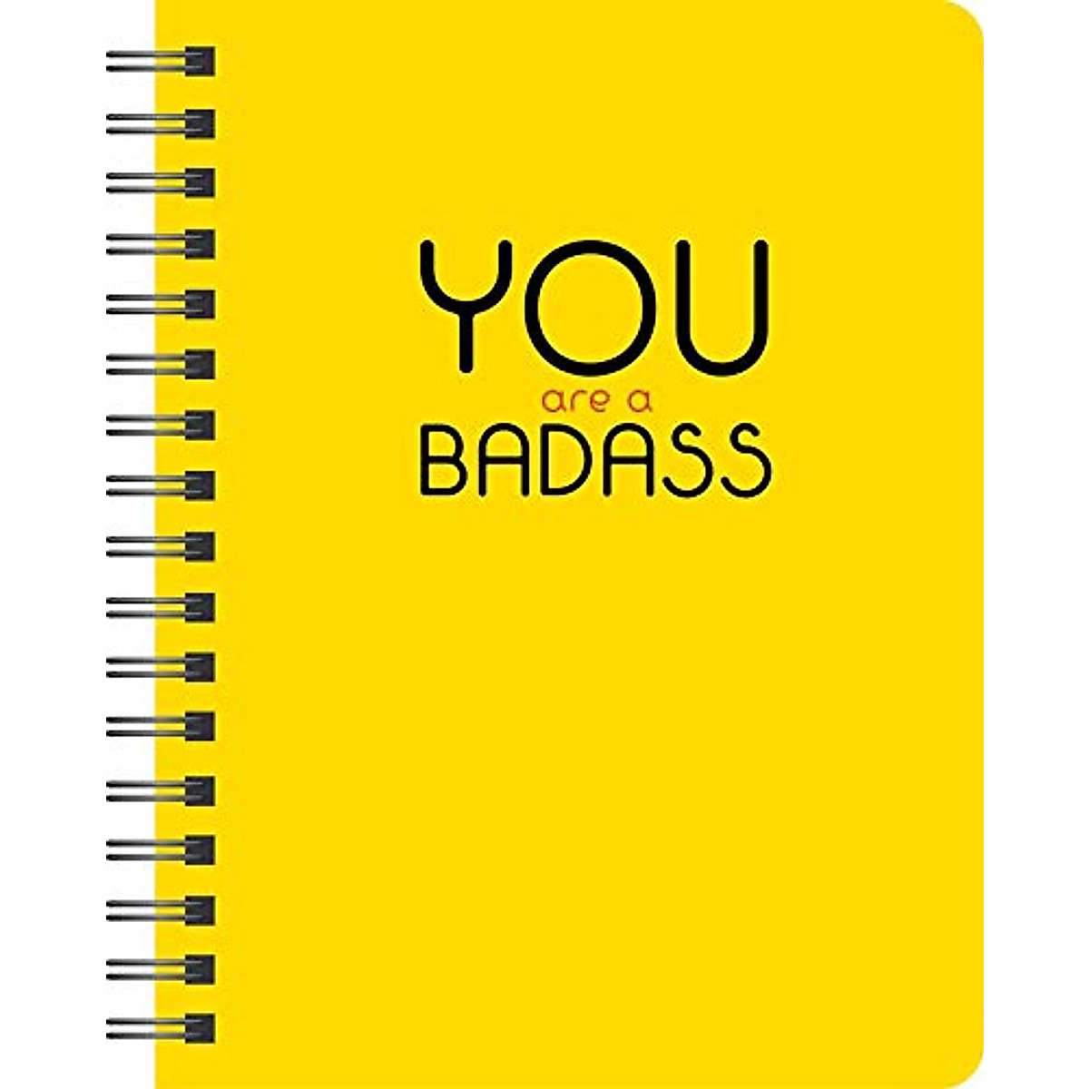 You Are a Badass 17-Month 2020-2021 Monthly/Weekly Planning Calendar: Deluxe Organizer (August 2020-December 2021)