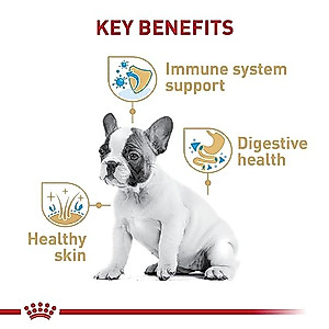 Royal Canin French Bulldog Puppy Dry Dog Food, 10.5 lb Bag