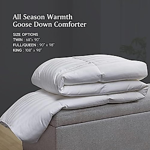 Beautyrest US Grown Cotton All Seasons Warmth Exceptional Hungarian White Goose Down Comforter King Size-750 Fill Power 500TC Damask Stripe Fabric