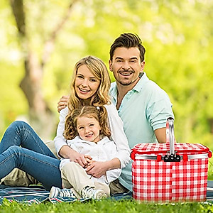 28l Insulated Picnic Baskets Portable Shopping Basket Market Basket with Folding Handle Waterproof Cooler Collapsible Picnic Basket Grocery Bag for Outdoor Picnics Travel Camping, Red and White Plaid