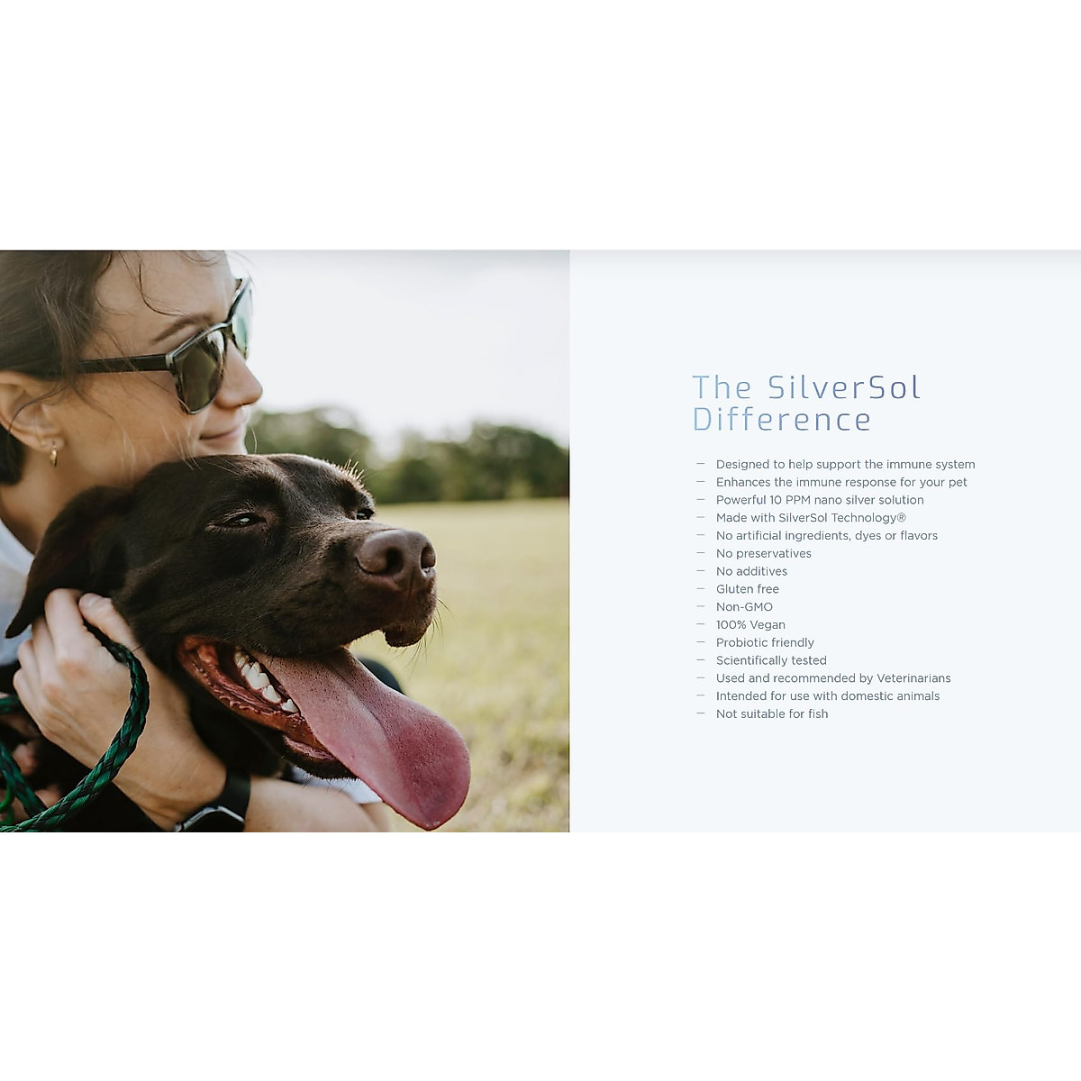 Silver Biotics Pet Vet Immune Support | Enhances The Immune Response in Pets | 16 Fl Oz