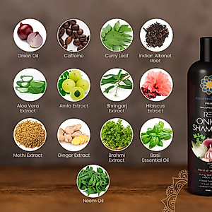 AYURVEDASHREE Red Onion Hair Growth & Hair Fall Control Shampoo – With Curry Leaf, Hibiscus, Indian Alanket, Blend of 14 Botanicals 200ML - SLS and Paraben Free - 100% Safe & Premium- All Hair Type
