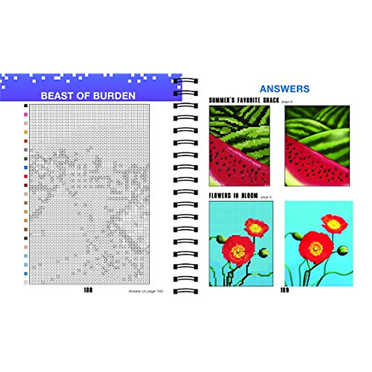 Brain Games - Pixel Pictures: 104 Pictures to Color by Squares