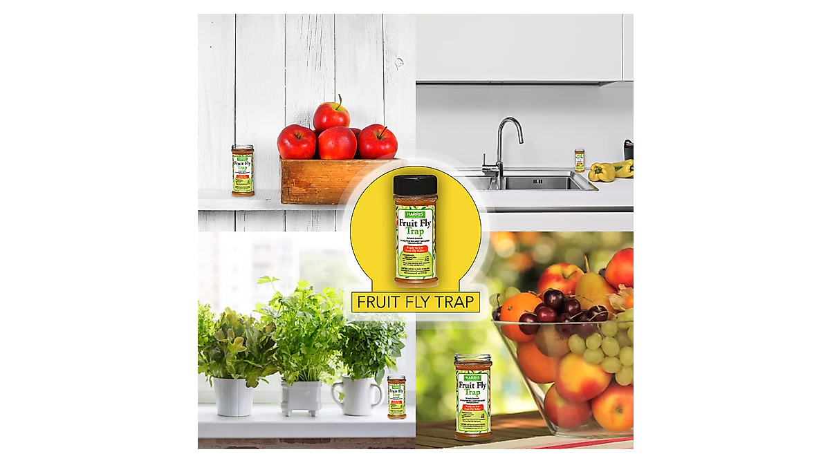 Harris Fruit Fly Trap - Easy Indoor Fruit Fly Killer