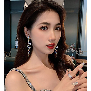 Denifery Snake Earrings Vintage Earrings Studs Dangle Earrings Long Silver Dangle Earrings Gold Snake Stud Earrings Snake Jewelry for Women (Silver F)