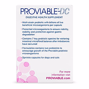 Nutramax Proviable Digestive Health Supplement Multi-Strain Probiotics and Prebiotics for Cats and Dogs - With 7 Strains of Bacteria, 30 Capsules
