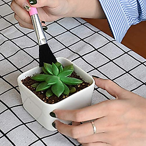 KALIM 16Pcs Succulent Plant Tools, Mini Planting/Transplanting Gardening Tool Set for Indoor Miniature Garden Plant Care(Pink)