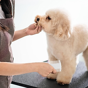 Jegtew 4 Pack Double sided Pet Combs,Fine Tooth Comb, Grooming Flea Tick Lice Dandruff Removal Fine Tooth Hair Combs for Cats Dogs Puppy