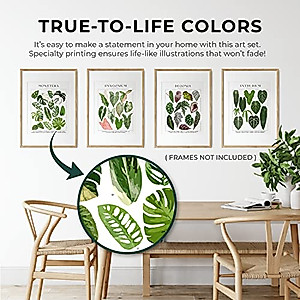 Buy 3 Get 1 Offer - Set of 4 UNFRAMED Plant Poster - Botanical Wall Art - Plant Stuff - Green Wall Art - Plant Wall Art - Plant Art Wall Prints - Plant Prints - Plant Pictures Wall Art 8x10" (VERDE)