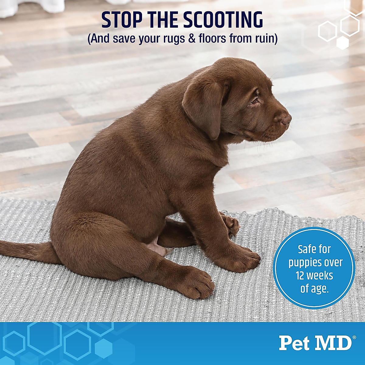 Pet MD EZ Gland - Dog Anal Gland Chews with Pumpkin and Fiber for Dogs for Digestive Support, Constipation Relief, and Stool Firmer - 60 ct Soft Chews