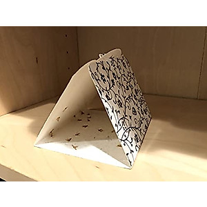 EonCare Pantry & Clothes Moth Traps | Dual Action Formula Captures More Types of Moths | Safe & Natural | 6 Pack | New & Improved 2020