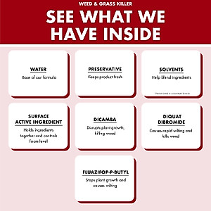 Spectracide Weed & Grass Killer, Use On Driveways, Walkways and Around Trees and Flower Beds, 1 Gallon (RTU Spray)