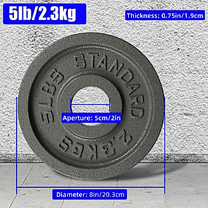 Multiple Olympic Weight Plates, Barbell Weights Bumper Plates 2 Inch Grip Single Pair & Set Rubber Cast Iron Weight Plates for Weightlifting Home Gym (Cast Iron D 2pc 5LB)