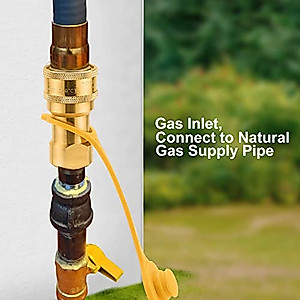 WADEO 1/2" QDD LP Gas Quick Connect Fittings with Male Insert Plug, Natural Gas Propane Quick Disconnect Kit, 100% Solid Brass