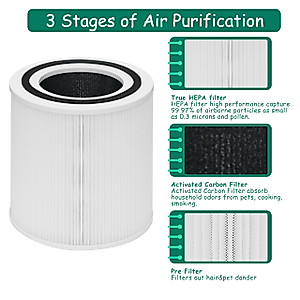 Asheviller TT-AP005 Filter Replacement, Compatible with TaoTronics TT-AP005 Air Purifier, 3-in-1 Pre-Filter, H13 Grade True HEPA and Activated Carbon Filter, 2 Pack