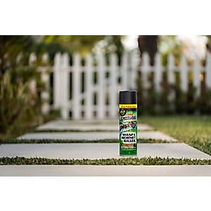 Spectracide Wasp & Hornet Killer Spray, Kills Wasps, Hornets and Yellow Jackets, Sprays Up To 27 Feet, 20 Ounce