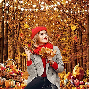 CYLYH 10x10ft Thanksgiving Backdrop Fall Photography Backdrop Autumn Maple Forest Leaves Pumpkin Party Background Thanksgiving Party Supplies Farm Harvest Event Banner Thanksgiving Banner CY579