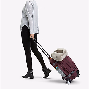 ebags Mother Lode Rolling Travel Backpack (Brushed Indigo)