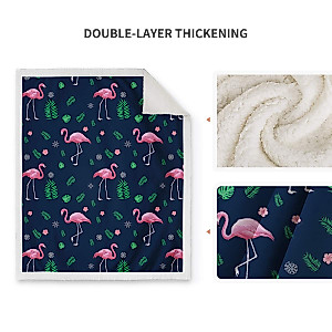 Jekeno Flamingo Sherpa Blanket Comfort Warm Throw Blanket for Kids Boy Couch Bed Sofa 50"x60"