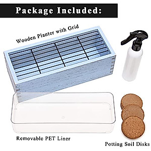 BENPIN Wooden Cat Grass Planter (no Seeds Included) with Potting Soil Disks, Anti Digging Grid and Removable Plastic Liner, Wheat Grass Growing Pot, Cat Grass Kit for Indoor Cats Pets (Amber Blue)