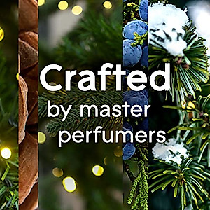 Glade PlugIns Refills Air Freshener Starter Kit, Scented and Essential Oils for Home and Bathroom, Pine Wonderland, 3.35 Fl Oz, 1 Warmer + 5 Refills