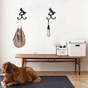 BRASSTAR Cast Iron Dragonfly Shape 2 Coat Hooks Wall Mount Hanging for Coats, Bags, Hats, Towels, Keys, Antique Replica Rust Color Home Art Decor TQGJPT276