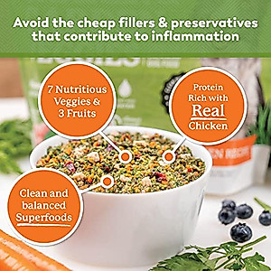 Dr. Harvey's Chicken & Garden Veggies Dog Food, Human Grade Grain-Free Dehydrated Food for Dogs with Freeze-Dried Chicken, Trial Size (5.5 Oz)