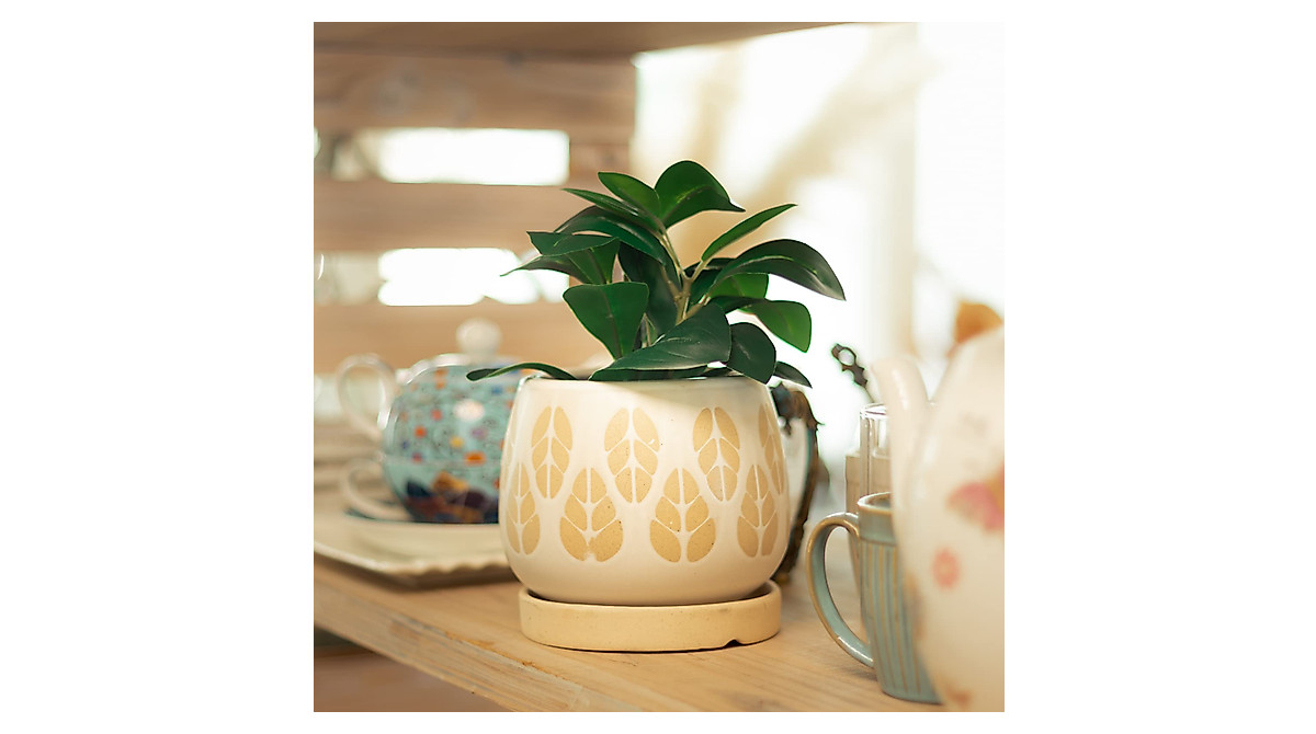 Elegant Chonsun 6 Inch Ceramic Planter for Indoor/Outdoor