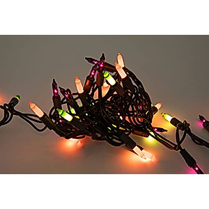 100 Count Halloween Lights Outdoor, Indoor | Purple Green, Orange Mini Lights | Outdoor Halloween Lights | Halloween Lights Indoor | Halloween String Lights | Black String Lights