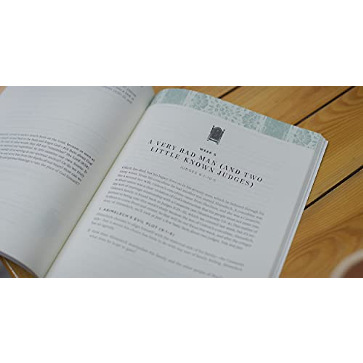 Judges: The Path from Chaos to Kingship (Flourish Bible Study)