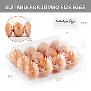 YIFIHGE 60 Pack Egg Cartons Cheap Bulk 1 Dozen Jumbo Egg Cartons Extra Large Duck Egg Cartons with Sticker Labels Clear Empty Plastic Egg Containers for Home Ranch Farm Commercial Market Display