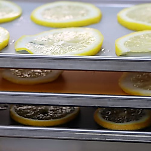 PIAOLGYI Tray Mats for Harvest Right Freeze Dryer Medium Trays,Silicone Accessories Compatible with Harvest Right Freeze Dryer Medium Trays(Green)