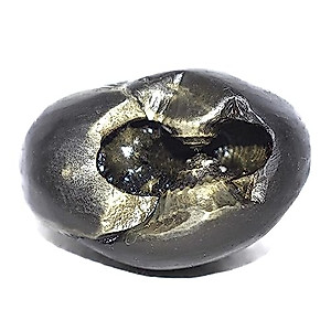 Rudrakshguru Laxmi Narsimha Shaligram