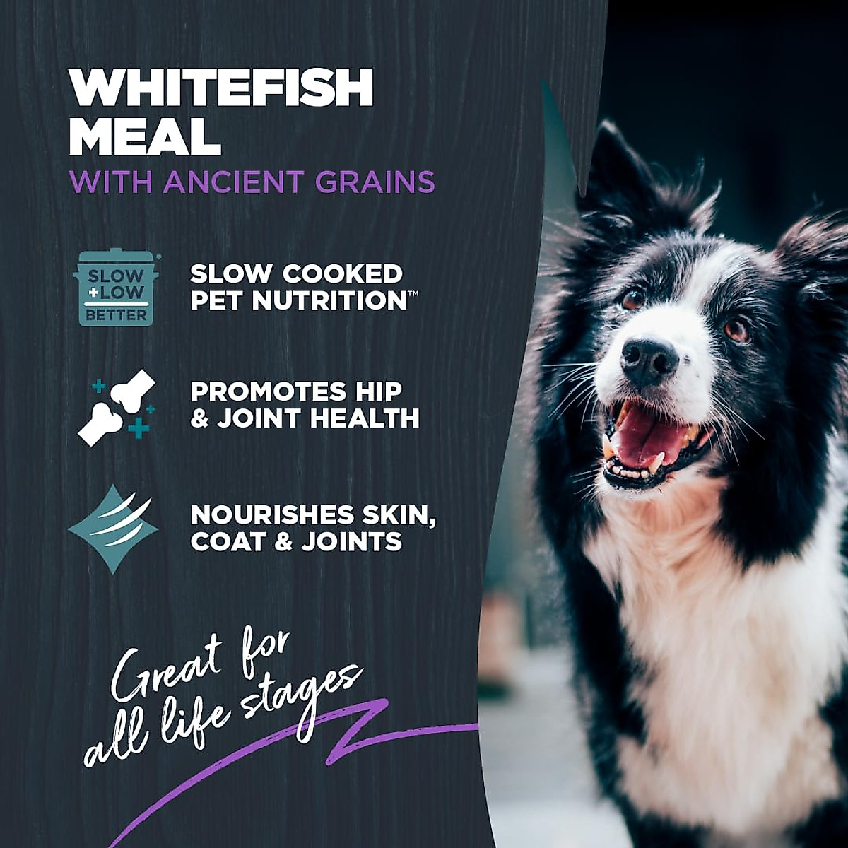 Blackwood Large Breed Dry Dog Food, Whitefish with Ancient Grains, 10 Pound Bag for Adult Dogs, Slow Cooked with Green Mussels to Promote Hip & Joint Health