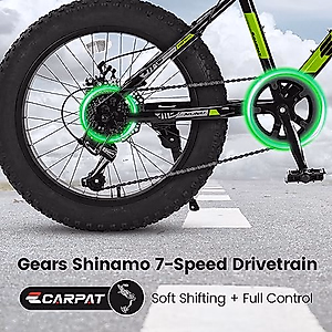 Elecony Ecarpat 20/24/26 Inch Fat Tire Mountain Bike Teenages Boys Girls 7/21 Speed, Front Suspension Disc Brake Bicycle, Carbon Steel Frame Mountain Trail Bike, Beach Bicycle