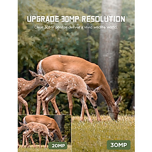 CEYOMUR Trail Camera, 30MP 1080P Hunting Camera with Low Glow IR LEDs Night Vision Motion Activated, Video Game Camera with IP66 Waterproof for Wildlife Monitoring