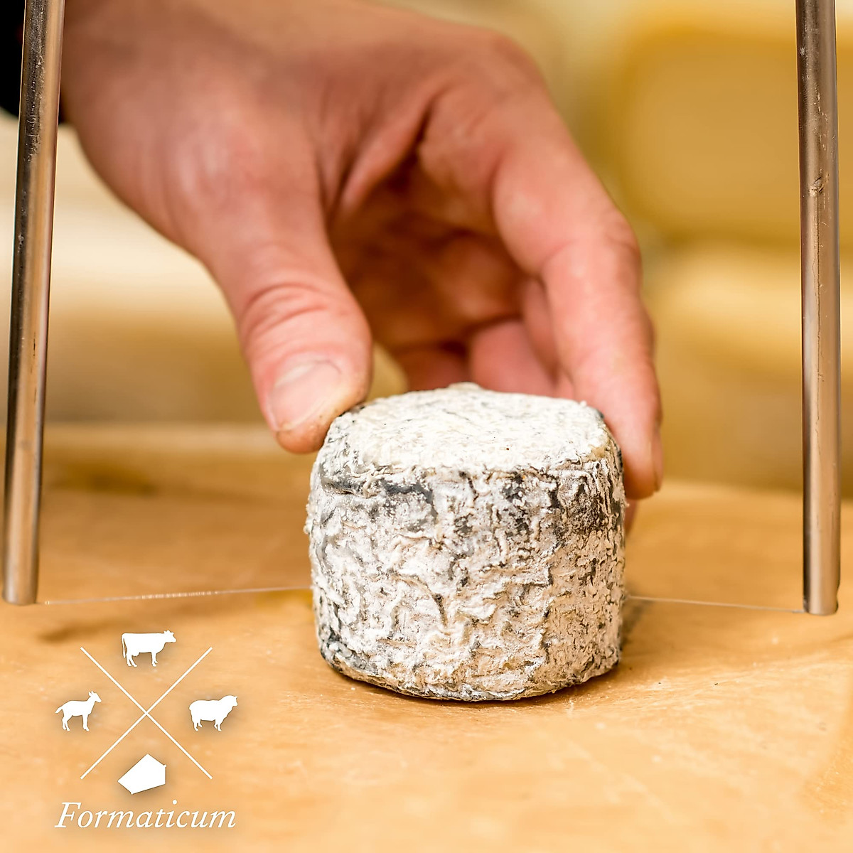 Formaticum Replacement Cheese Slicer Wire - Replacement Wire for Cheese Cutter - Cheese Cutter Wire Replacement - Cheese Slicer Wire Replacement - Cheese Wire Cutter - Wire Cheese Slicer - 5 Inches