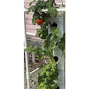 EXO Garden Hydroponic Growing System Vertical Tower - Vegetable Plant Tower Gift for Gardening Lover - Automate Aeroponics Mini Indoor Outdoor Home Grow Herb