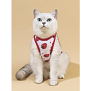 QWINEE Cute Dog Tank Top Fruit Strawberry Print Cat Puppy Shirt Breathable Lightweight Pet Vest Small Medium Large Dogs Cats Kitten Clothes Red B S