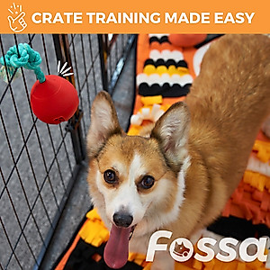 Fossa 4-in-1 Crate Entertaing Puzzle Chew Toy for Dogs | Upgrade Crate Training Aids for Puppies | Food Treat Dispensing Dog Toys | Dog Teething Ball with Adjust Rope to Reduce Stress Anxiety