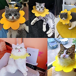 QIYADIN 5 Pieces Pet Cone Collar, Soft Recovery Cone for Cats Puppy Rabbit, Elizabethan Collars Cat Cones Flower Shape Loops-Protective Wound Healing. Not Affect The Pet Eat and Drink (M)