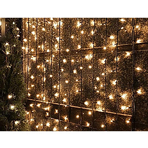 Holiday Time 300 LED String Lights Warm White Mini Lights 61 FT Long Plug in for Indoor Outdoor Christmas Tree Garden Wedding Party Decoration. (1, One Pack)