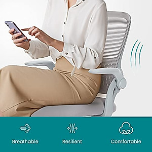 Ergonomic Office Chair, Home Office Desk Chairs with Wheels, Computer Chair with Flip-up Arms, Mid-Back Task Rolling Chair with Lumbar Support, Comfy Mesh Swivel Executive Chair