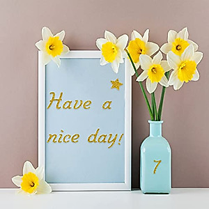 Alphabet Letter Stickers, 40 Sheets 2880PCS Alphabet and Number Stickers Self Adhesive Vinyl Letter Number Stickers Decoration for Mailbox Wall Door Crafts Address Number (Black, White, Gold, Silver)