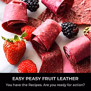 The BEAST by Denali | 8 Layer Stainless Steel Food Dehydrator | 100 Recipes & Full Instructions | Jerky, Fruit Leather, Veggies | Silver, LED Touch, Timer & Low-Noise Fan | Denali is a USA Company (BEAST Fruit Leather Mats (Brown, 4 Pack))