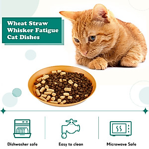 Gerrii 24 Pieces Whisker Fatigue Relief Cat Bowl 6 Inch Shallow Cat Food Dish Stray Dog Wet Feeding Bowls Wide and Small Pet Plates for Kittens and Short Legged Kittens, Wheat Straw(Elegant Color)