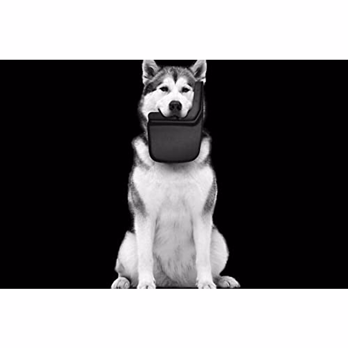 Husky Liners — Front & Rear Mud Guards | Fits 2021-2024 Ford F-150 (Excludes Raptor Models), Front and Rear - Black, 4 Pc. | 58526 - Black, 4 Pc | 58526