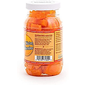 Fluker's Orange Cube Complete Cricket Diet 12oz - Includes Attached DBDPet Pro-Tip Guide