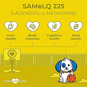 Coco and Luna Same for Dogs - S-Adenosyl-L-Methionine, Liver Supplements for Dogs - Brain Supplement for Dogs, Promotes Cognitive Support, Dog Liver Support Supplement