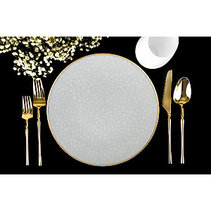 PLASTICPRO 30 Pack Hammered Plastic Plates Heavyweight Disposable Plastic Plates Elegant Transparent White With Gold Rim Platsic Party Dishes (Transparent White With Gold Rim, 9'' INCH PLATES)